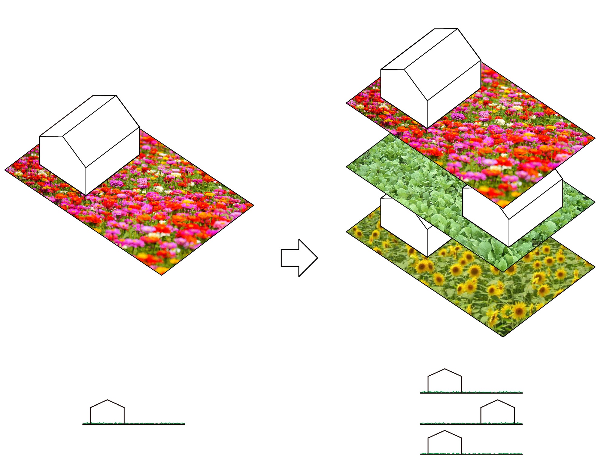 Ngó (1) Overlap House – Hirata Akihisa